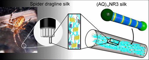 Foundation of the Outstanding Toughness in Biomimetic and Natural ...