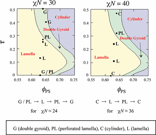 Morphology Reentry with a Change in Degree of Chain Asymmetry in Neat ...