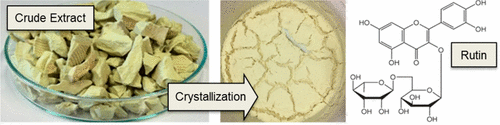 Crystallization-Based Isolation of Pure Rutin from Herbal Extract of ...