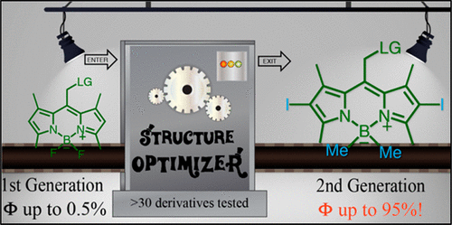 In Search of the Perfect Photocage: Structure–Reactivity Relationships ...