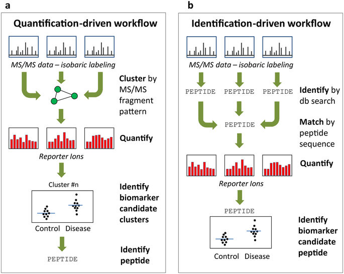 A novel quantification-driven proteomic strategy identifies an ...