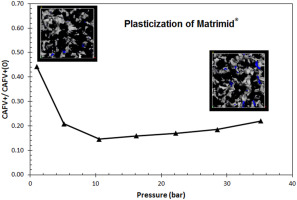 Prediction of CO 2 -induced plasticization pressure in polyimides via ...