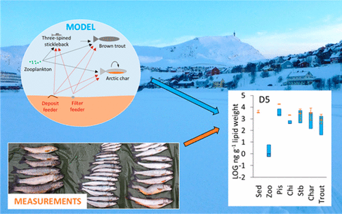 Elucidating the Behavior of Cyclic Volatile Methylsiloxanes in a ...