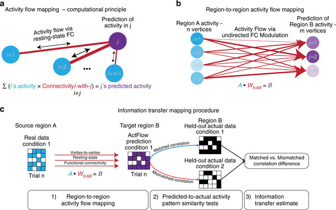 Cognitive Task Information Is Transferred Between Brain Regions Via