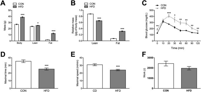 Exercise and high-fat feeding remodel transcript-metabolite interactive ...