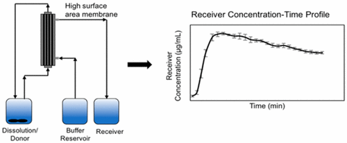 Absorptive Dissolution Testing of Supersaturating Systems: Impact of ...