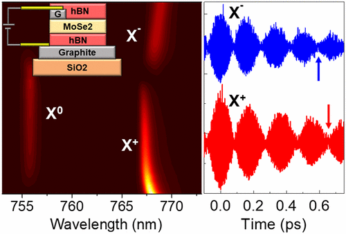 Trion-Species-Resolved Quantum Beats in MoSe2,ACS Nano - X-MOL