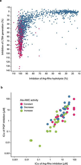 设计高效的保护氨肽酶的白三烯A4水解酶抑制剂的可行性和生理意义。,Scientific Reports - X-MOL