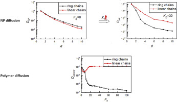 Size-dependent nanoparticle dynamics in semiflexible ring polymer ...