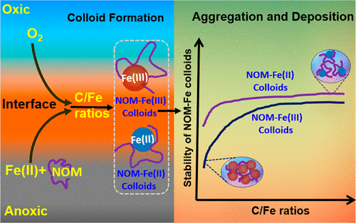 Formation, Aggregation, and Deposition Dynamics of NOM-Iron Colloids at ...