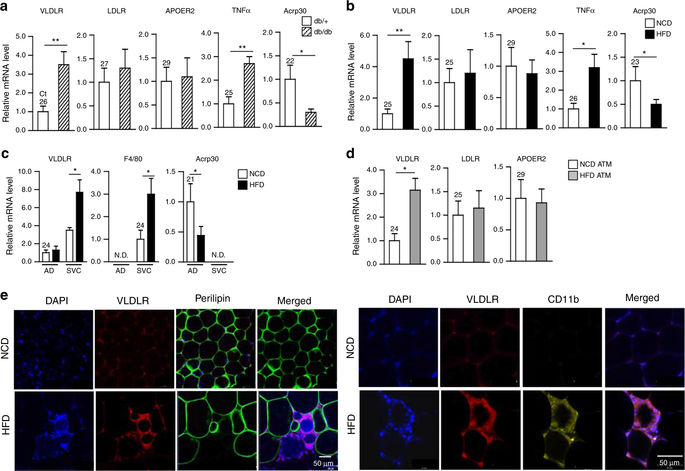 Macrophage VLDLR mediates obesity-induced insulin resistance with ...
