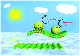 Greatly enhanced photocatalytic activity by organic flexible ...