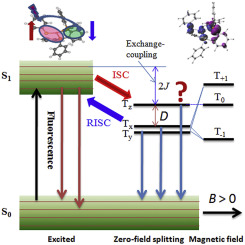 Intersystem crossing mechanism of thermally activated delayed ...