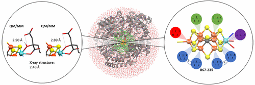 QM/MM Study of the Nitrogenase MoFe Protein Resting State: Broken ...