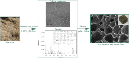High bio-content polyurethane (PU) foam made from bio-polyol and ...
