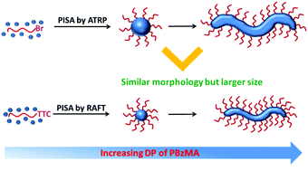分散聚合下PISA合成二嵌段共聚物纳米组装体：ATRP与RAFT的比较,Polymer Chemistry - X-MOL