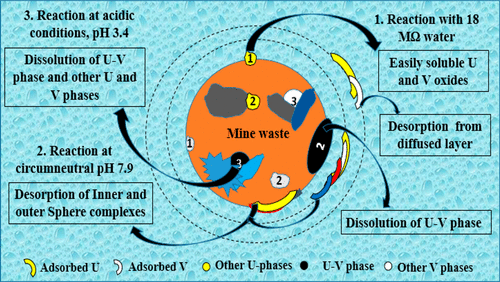 Reactive Transport of U and V from Abandoned Uranium Mine Wastes ...
