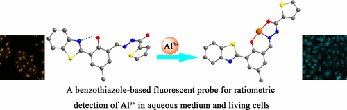 A Benzothiazole-Based Fluorescent Probe for Ratiometric Detection of Al3+ in Aqueous Medium and ...