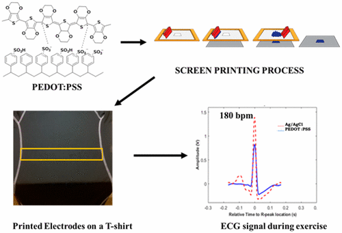 用于心电图学的商业加工纺织品上的丝网印刷PEDOT：PSS电极,ACS Applied Materials & Interfaces - X-MOL