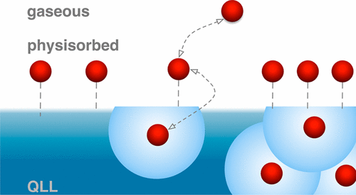 Experimental Evidence for the Formation of Solvation Shells by Soluble ...