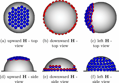 Direct Assembly of Magnetic Janus Particles at a Droplet Interface,ACS ...