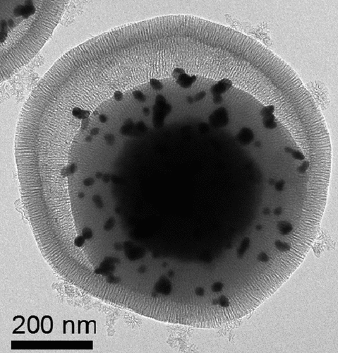 Plasmolysis-Inspired Nanoengineering of Functional Yolk–Shell ...