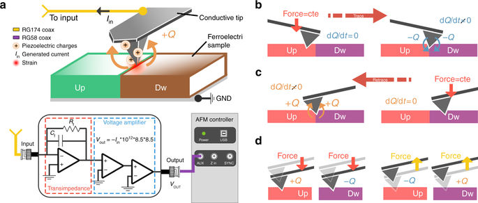 Piezo-generated charge mapping revealed through direct piezoelectric ...