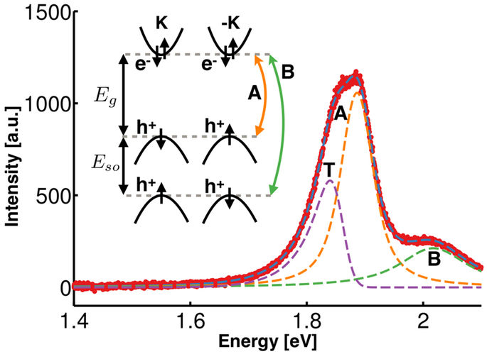 Long tailed trions in monolayer MoS2: Temperature dependent asymmetry ...
