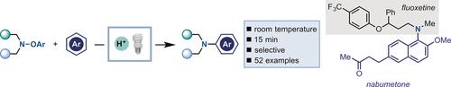 Synthesis of Arylamines via Aminium Radicals,Angewandte Chemie ...