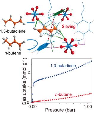 Sorting of C4 Olefins with Interpenetrated Hybrid Ultramicroporous ...