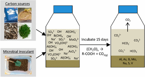 Microbial Fermentation of Organic Carbon Substrates Drives Rapid pH ...