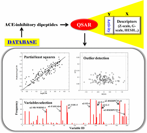 New Quantitative Structure–Activity Relationship Model for Angiotensin-Converting Enzyme ...