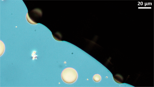 Receding Contact Line Motion on Nanopatterned and Micropatterned ...