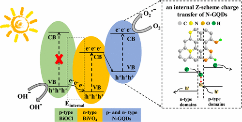 Boosting the Visible-Light Photoactivity of BiOCl/BiVO4/N-GQD Ternary ...