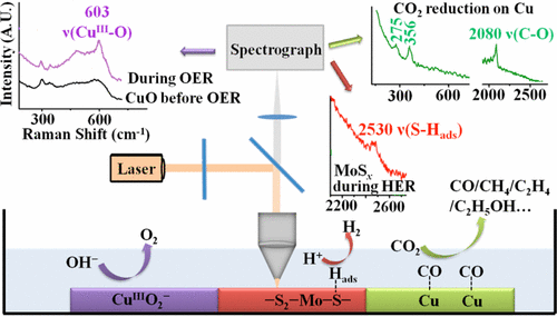 Characterization of Electrocatalytic Water Splitting and CO2 Reduction Reactions Using In Situ ...