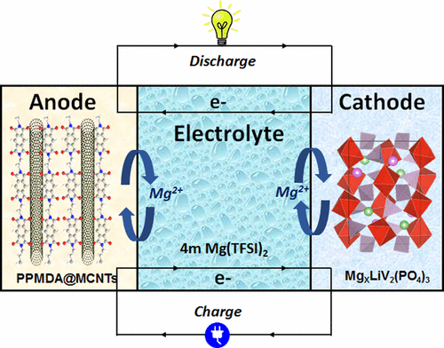 High-Voltage Aqueous Magnesium Ion Batteries,ACS Central Science - X-MOL