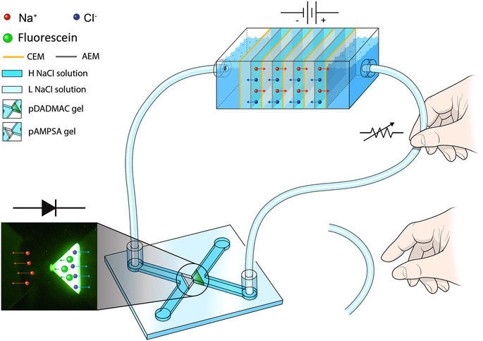 Ionic Circuits Powered by Reverse Electrodialysis for an Ultimate Iontronic System.,Scientific ...