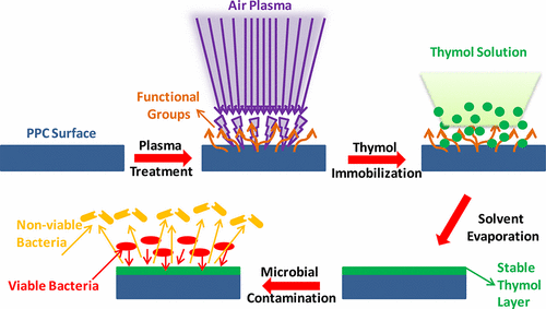 Fabrication of Antimicrobial Poly(propylene carbonate) Film by Plasma ...
