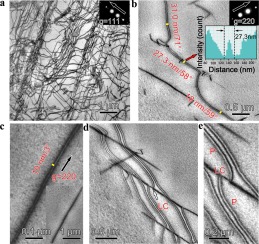 Transmission electron microscopy characterization of dislocation ...