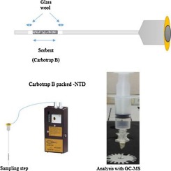 Development of Carbotrap B-packed needle trap device for determination ...
