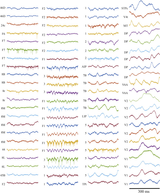 A Large-Scale Semi-Chronic Microdrive Recording System for Non-Human ...