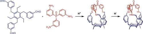 Synthesis of a C3-symmetric tris-imine via dynamic covalent bond ...
