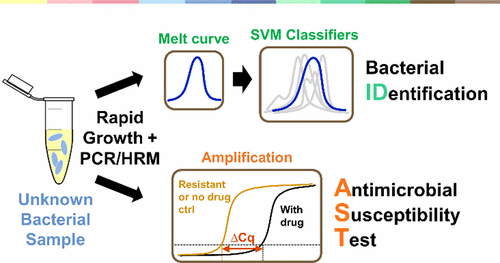 Integrated Bacterial Identification and Antimicrobial Susceptibility ...