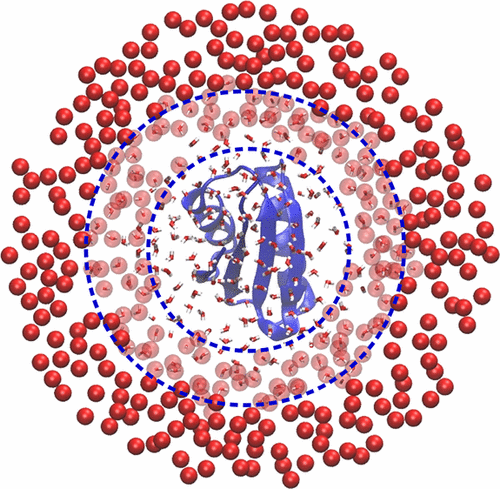 蛋白质及其水合壳的开放边界模拟，采用哈密顿量自适应解析方案,Journal of Chemical Theory and ...
