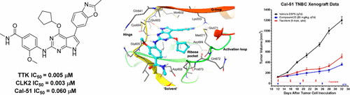 The Discovery of a Dual TTK Protein Kinase/CDC2-Like Kinase (CLK2 ...