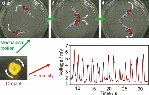 Marangoni Effect-Driven Motion of Miniature Robots and Generation of ...