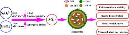 Sulfate radical-based oxidation for sludge treatment: A review,Chemical ...