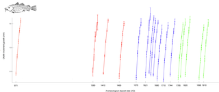 A millennium of north-east Atlantic cod juvenile growth trajectories ...