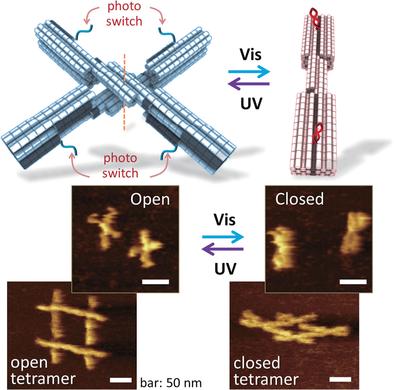 Single-Molecule Observation of the Photoregulated Conformational ...