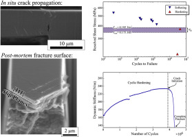 镍基高温合金 René-N5 微晶的高频原位疲劳响应,Acta Materialia - X-MOL